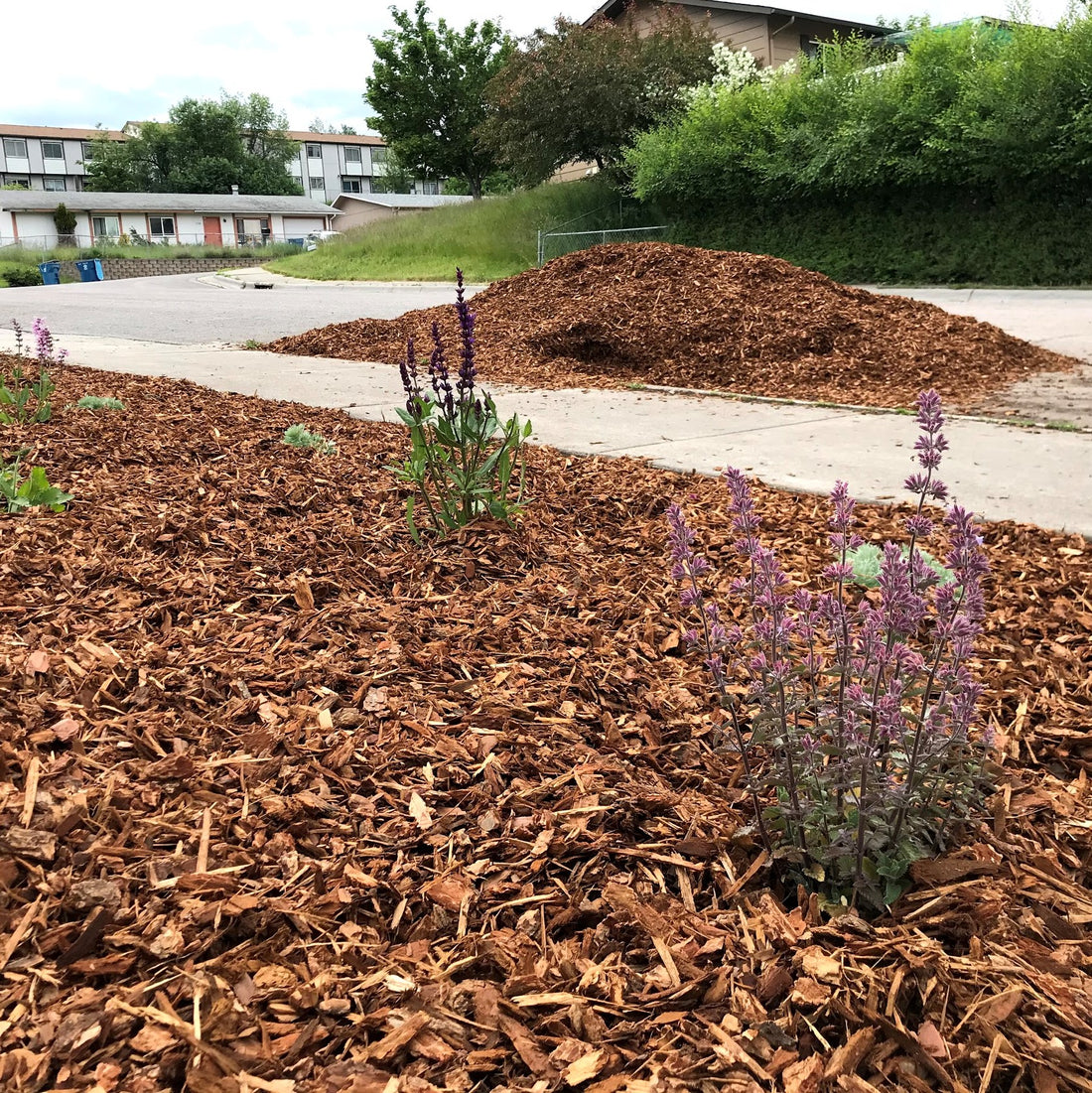 Shredded Fir Bark Mulch Delivery | Missoula MT – Missoula Dirt Delivery